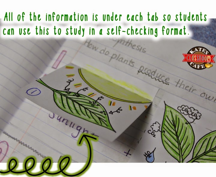 Photosynthesis for Interactive Notebooks