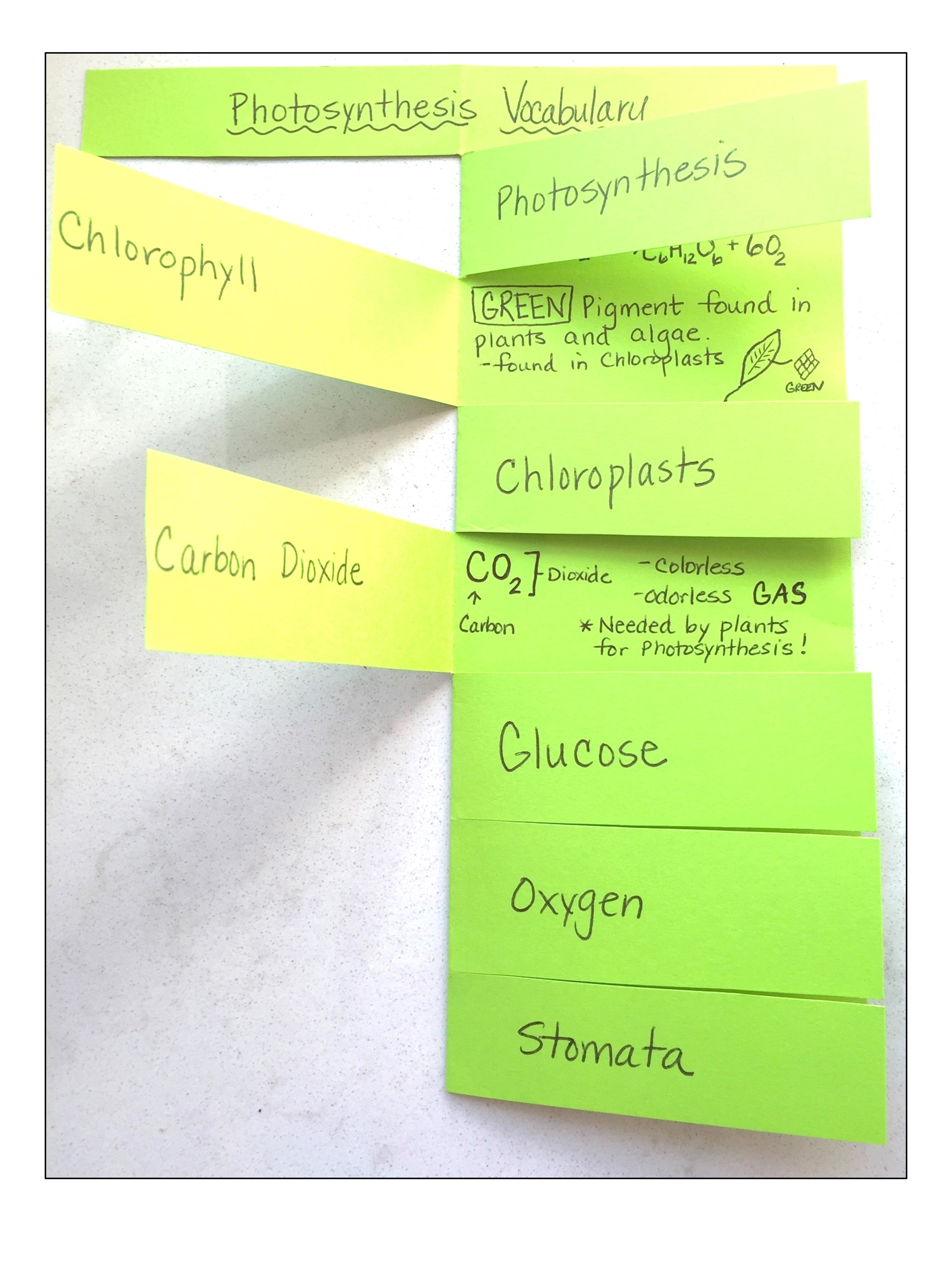 Active Study Strategies - Captivate Science