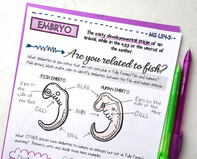 NGSS Life Science Doodle Notes - Captivate Science