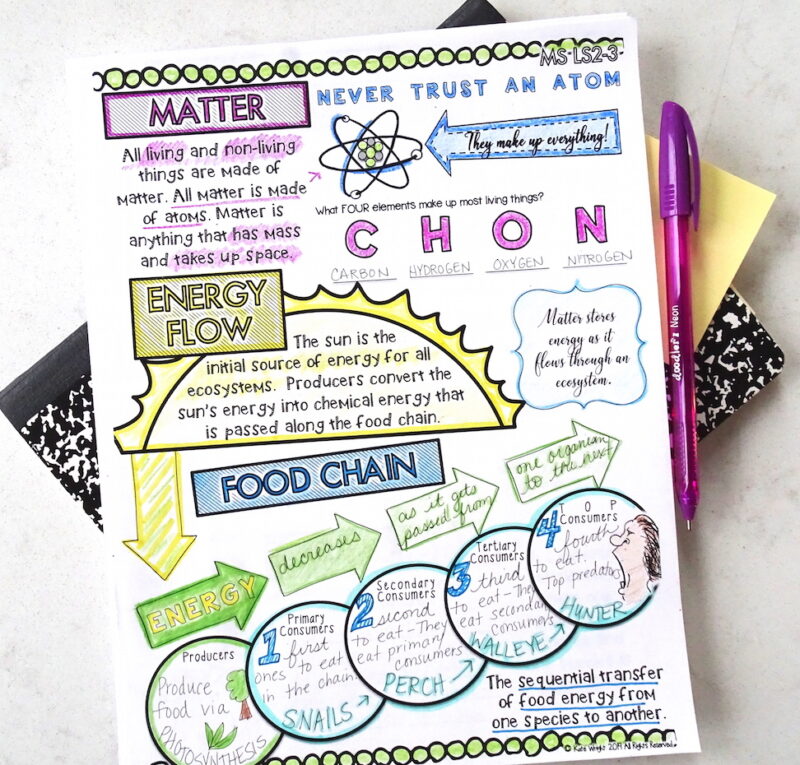 NGSS Life Science Doodle Notes - Captivate Science