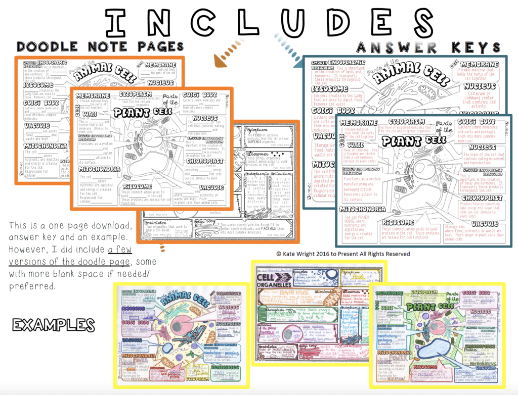 Doodle Notes for Cell Organelles (plant and animal) - Captivate Science