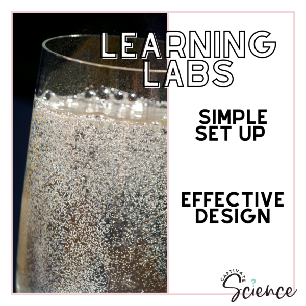 Earth’s Layers Doodle Note Lesson Plan