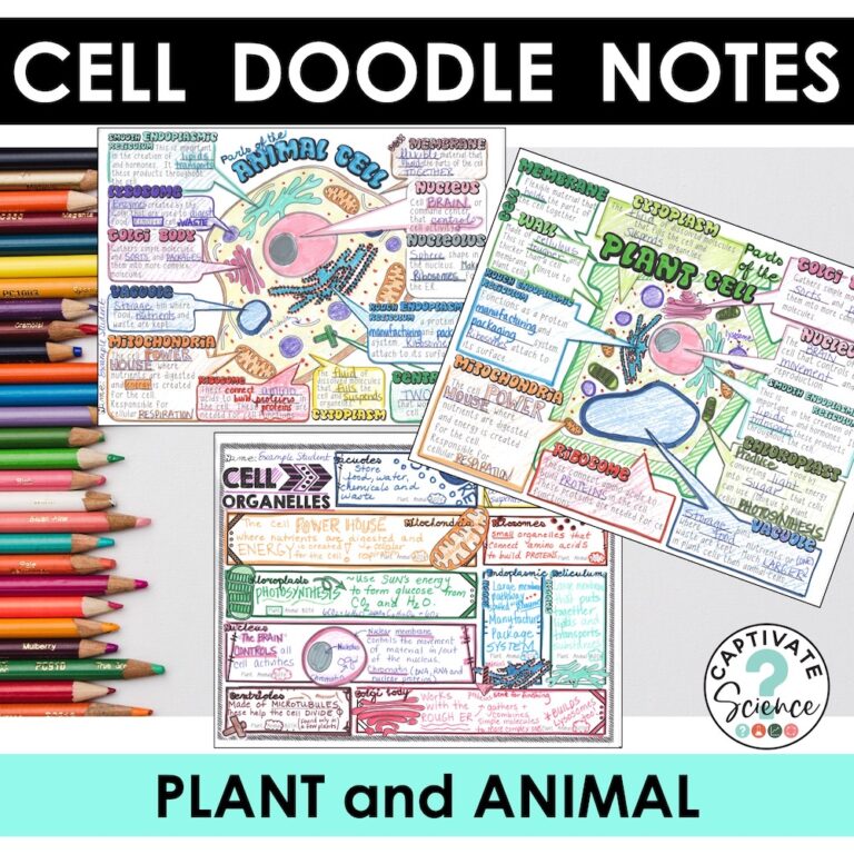 Cell Doodle Notes Set - Captivate Science