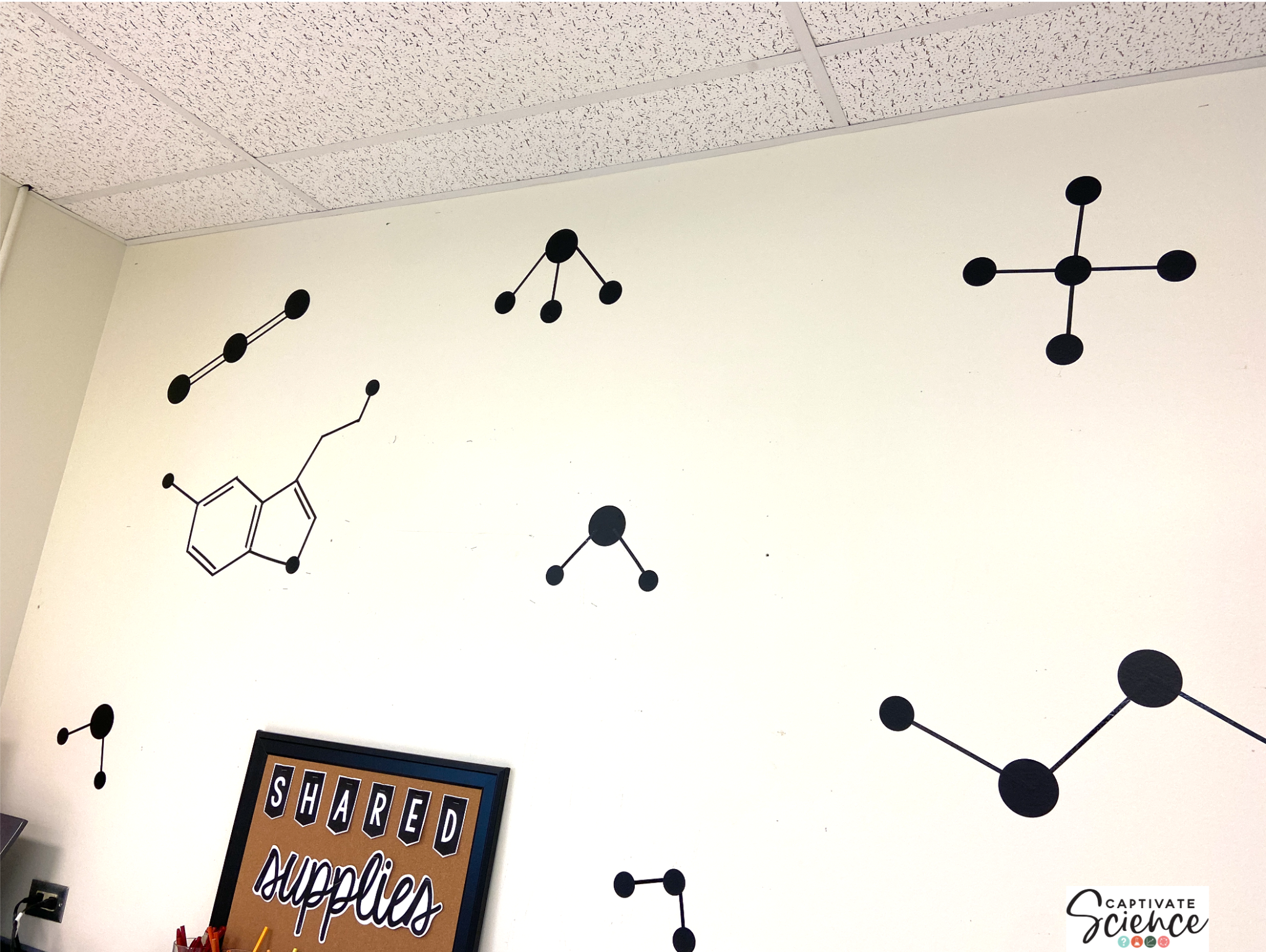Science Classroom Decor - Captivate Science