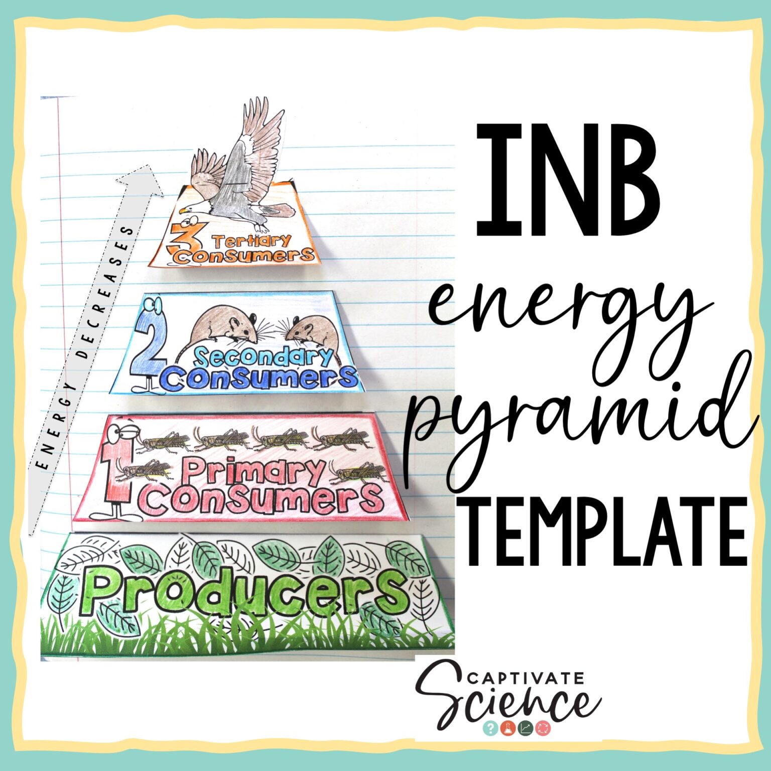 Energy Pyramid for Interactive Notebooks - Captivate Science